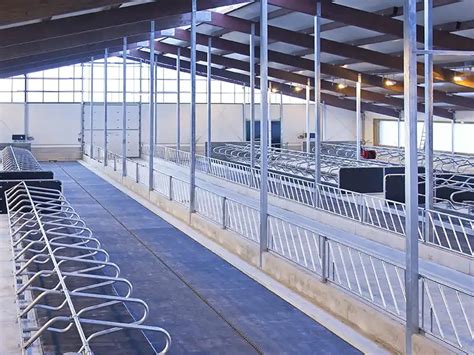 Construcții Grajduri Vaci Hale Metalice Constructor Hale Zincate