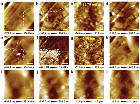 In‐situ Afm Monitoring Of The Evolution On The Surface Of Li Anode In A Download Scientific