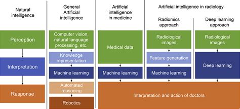 Advanced Atherosclerosis Imaging By Ct Radiomics Machine Learning And Deep Learning Journal