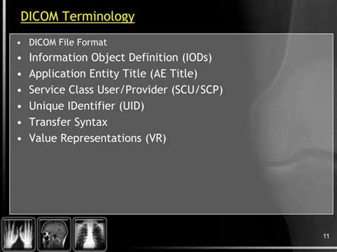 DICOM Structure Basics PPTX