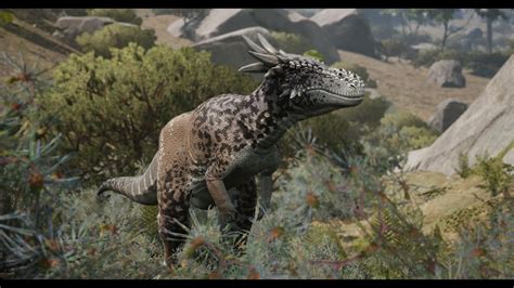 Growing A Pachy Part 2 Youtube