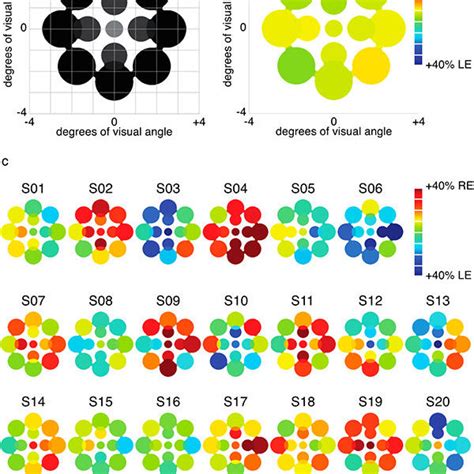 Heat Maps Of Color Dominance A Schematic Illustrating The 13 Visual Download Scientific