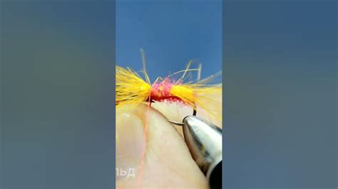 Мушка Плюшевый жук паук Youtube