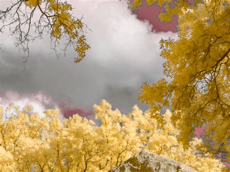 Color Fringingartifacts When Adjusting Huesatura Adobe Product