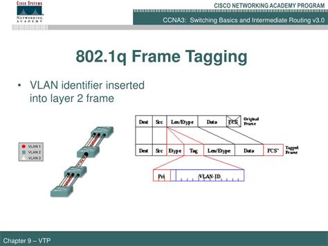 ppt vlan trunking protocol powerpoint presentation free download