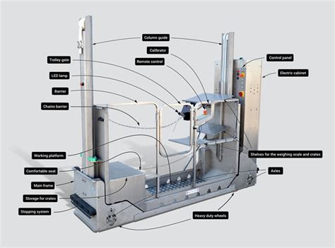 Selective Picking Is It Worth Investing In For Owners Of Mushroom