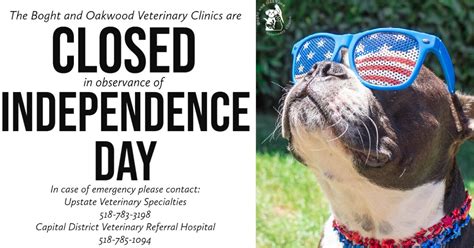 Boght Veterinary Clinic Cohoes Ny