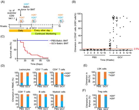 Generation Of Major Histocompatibility Mhc‐mismatched Haematopoietic