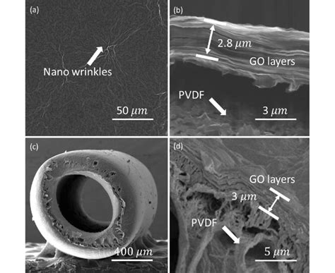 Surface Analysis Of Go Membranes Morphological Analysis Of Flat Go