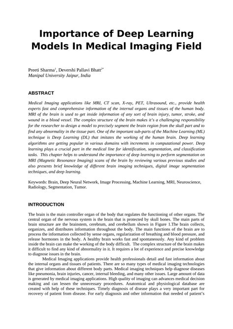 Pdf Importance Of Deep Learning Models To Perform Segmentation On