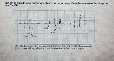 Tripeptide Structure Leu Pro Gly