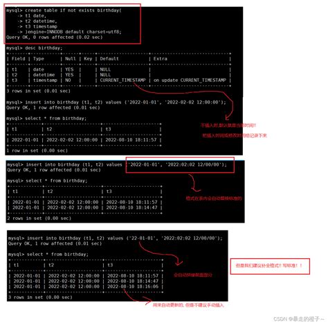 Mysql数据库 数据类型数据库tinyint Csdn博客
