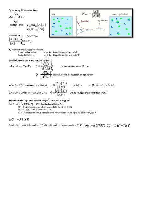 Dynamic Equilibrium Reactions Understanding Rates And Constants