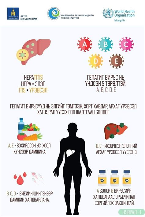 📌📌📌2024 онд Монгол улсад төрсөн нярайн 98 6 нь гепатитын В вирусийн эсрэг вакцинд 24 цагийн
