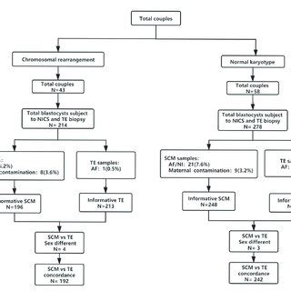 Flowchart Of The Study Design A Total Of Couples Were Included In Download Scientific