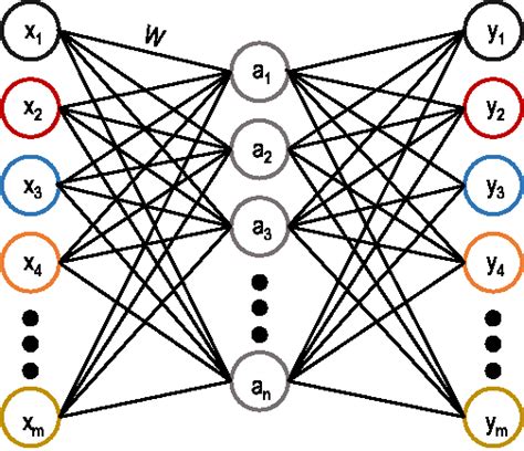 Architecture Of An Autoencoder Network The Input Vector X Of Length M