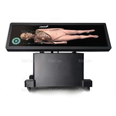 Human Anatomy System Virtual 3d Anatomy Digital Dissection 3d Virtual Autopsy Table For School