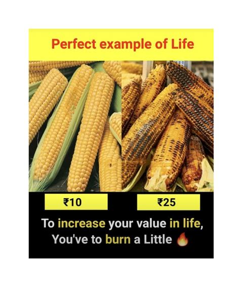 Anirudh Pratap Singh On Linkedin Bestexample