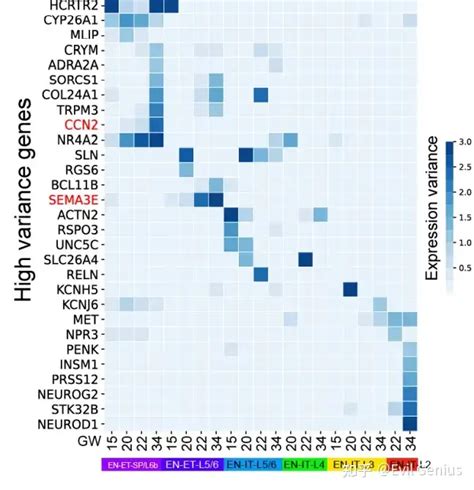 空间转录组cell Niche（流程试用版）seurat Niche Csdn博客