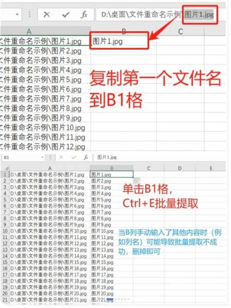 linux rename命令：批量重命名文件的实用工具，基本语法与使用示例 linux命令大全 手册