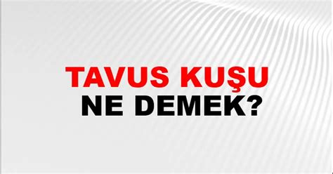 Tavus Kuşu Nasıl Yazılır Ntv Haber