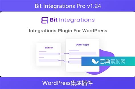 Bit Integrations Pro V124 Wordpress集成插件 云典网