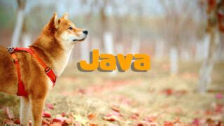 Javaのリストに要素を追加する3つの方法 add addAll コードライク