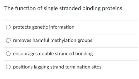 Solved The Function Of Single Stranded Binding Proteins