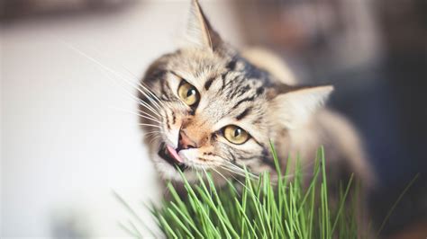 Jennifer Garner Encabeza La Lista De Revista People De Personas Más Bellas Infobae