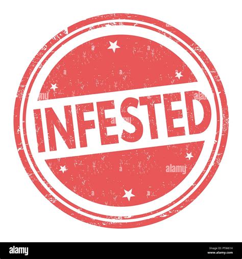 Infested Sign Or Stamp On White Background Vector Illustration Stock