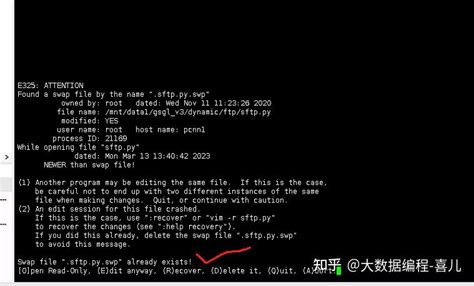 linux中vim编辑文件时显示文件正在编辑如何解决 知乎