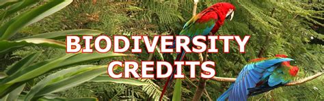 Biodiversity Credits A New Way Of Funding Nature Protection