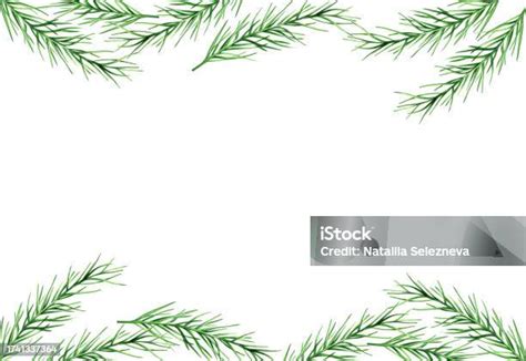 신선한 로즈마리가 배경에 분리된 수채화 프레임 미용 제품 및 식물학 세트 화장품 및 의학의 세부 사항 디자이너 스파 장식 엽서 포장지 스크랩북 표지 초대장 포스터 및 직물용