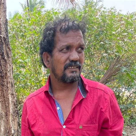 பொள்ளாச்சி அருகே காகங்கள் வேட்டையாடப்பட்டது ஏன் எச்சரிக்கும் மருத்துவர்கள் தமிழகச்