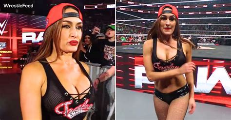 Wwe Has A New Role For Nikki Bella Wwf Old School
