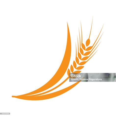 Simbol Untuk Desain Logo Gandum Pertanian Jagung Gandum Tangkai Tanaman