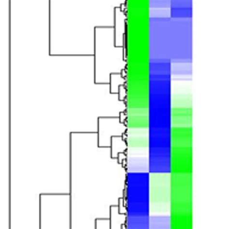 Hierarchical Clustering Of Mirna Expression Mirna Profiles From Three