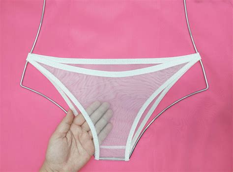 Sheer Mesh Panties Sexy Lingerie See Through See Through Mesh Sheer