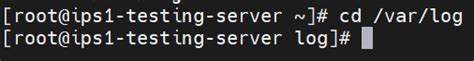 How To Remove Old Logs From Linux Server Using SSH IPSERVERONE