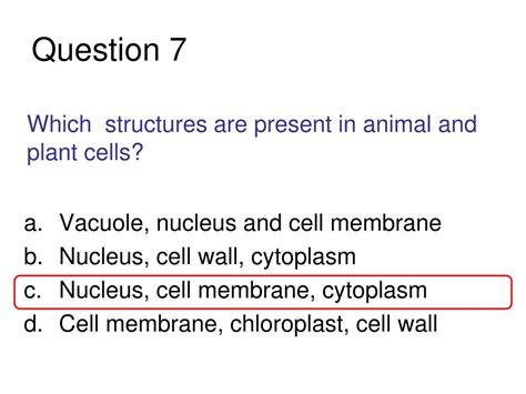 PPT Cell Structure And Function Quiz Questions And Answers PowerPoint Presentation ID