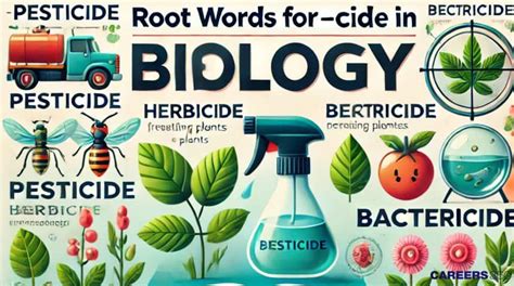 Biology Root Words Ending With Cide Meaning And Examples