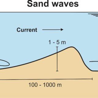 2 Schematic Of A Tidally Driven Asymmetrical Sand Wave Based On
