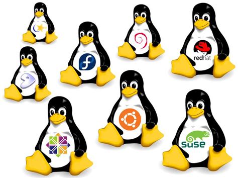 Choosing Linux 2 Awesome Tools To Find Your Perfect Linux OS Computer