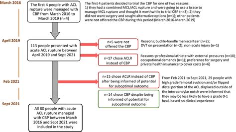Participant Flow Chart Acl Anterior Cruciate Ligament Aclr Anterior Download Scientific
