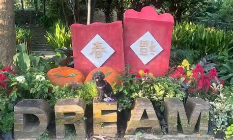 Hortpark Singapore Tranquility In A Green Oasis