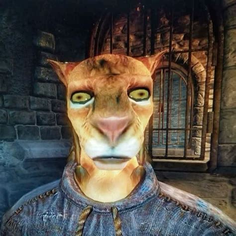 Khajiit A Feline From Oblivion The Cat From Skyrim The Cat From