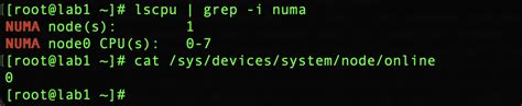 Assign A Process To A Specific Cpu In A Numa Node Blog By Jay