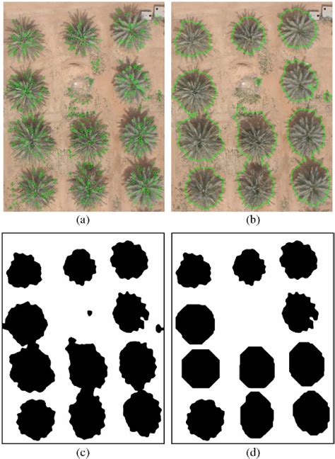 Figure 11 From Efficient Framework For Palm Tree Detection In Uav