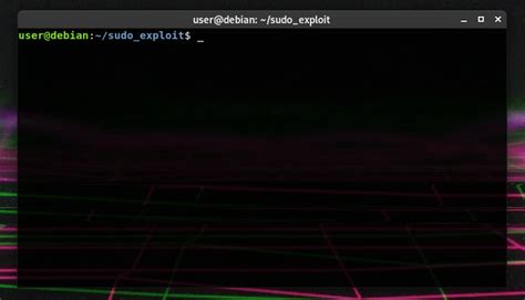 CVE 2021 3156 Exploiting Sudo Heap Overflow On Debian 10