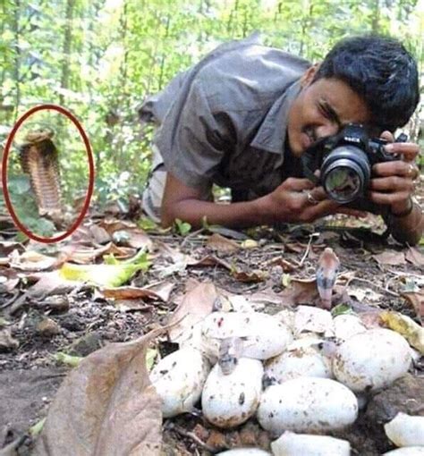 නයාගේ ෆොටො එක ගහපු ඩයල් එක Kauda දන් නෑ 🤣 Rtkasylum